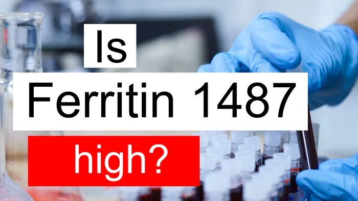 Treatment and symptoms of Ferritin 1487 ng/mL | Diet for high Ferritin ...