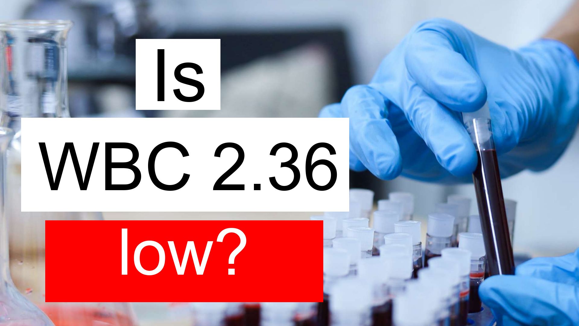 Treatment and symptoms of WBC 2.36 thou/uL | Diet for low White blood ...