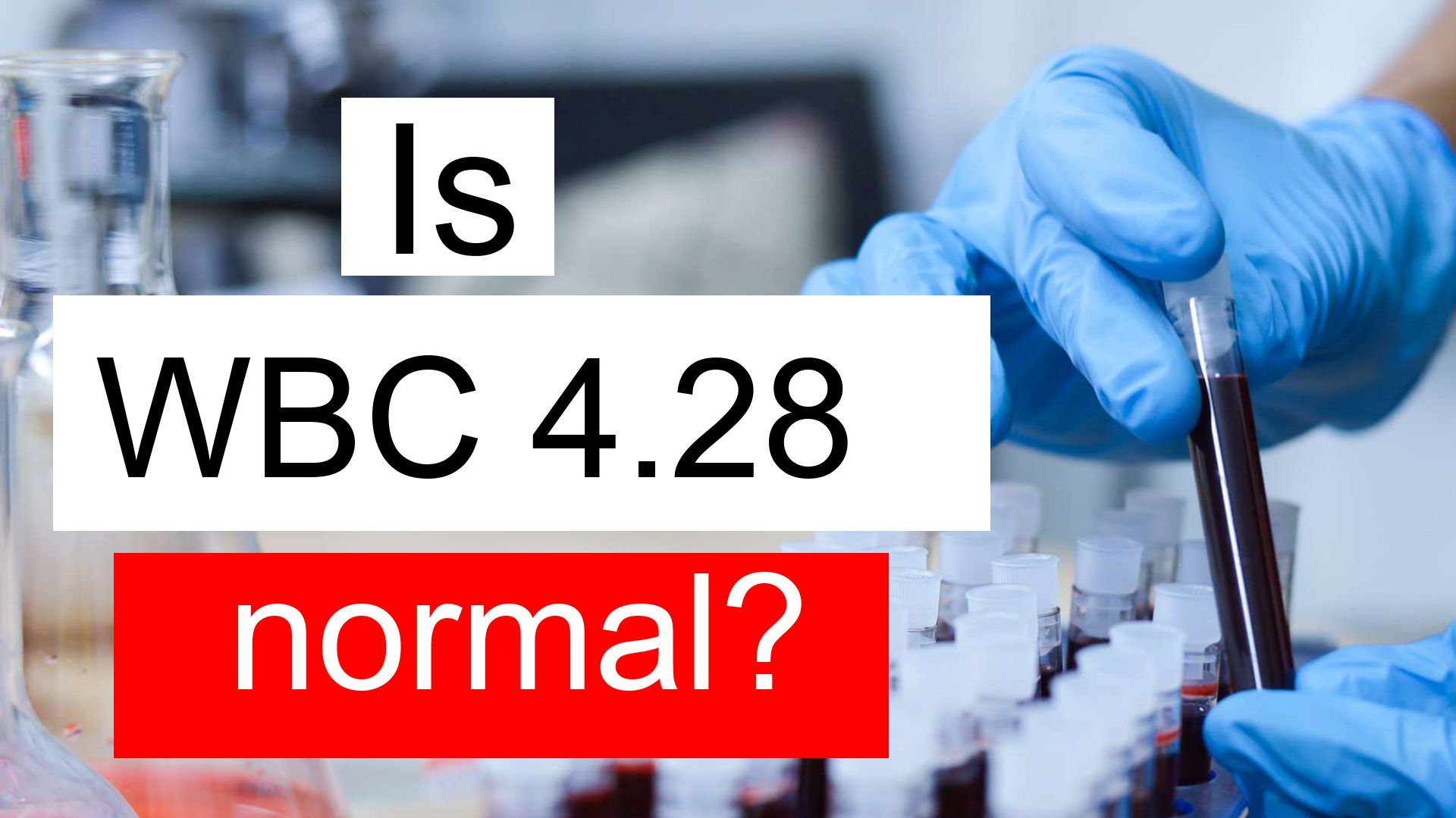 WBC 4.28 thou/uL: Symptoms you should not ignore | White blood cell count