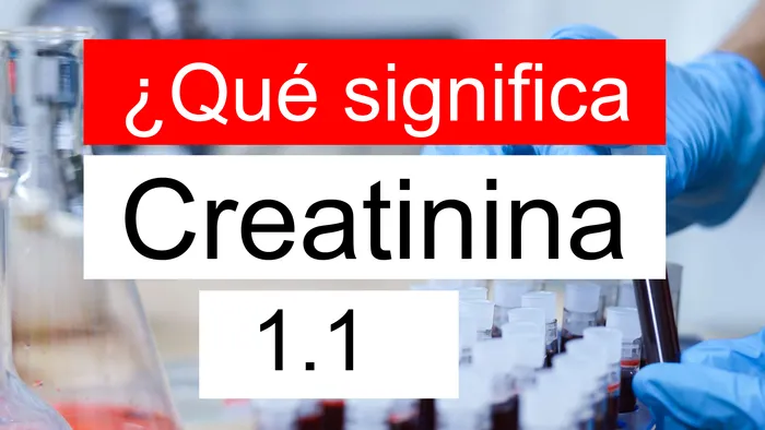 ¿Qué significa Creatinina 1.1? ¿La Creatinina 1,1 es normal, alta o baja?